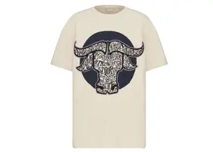 Dior And Shawn Oversized T-shirt - White