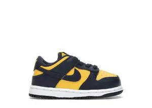 Nike Dunk Low Michigan 2021 Td