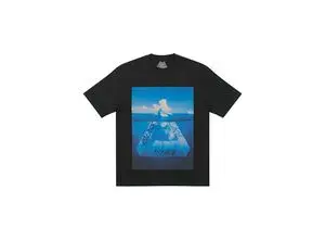 PALACE Bergferg T-shirt - Black