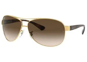 Ray-ban Aviator Sunglasses - Polished Gold/brown (rb3386)