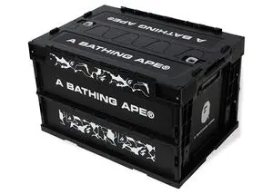 A BATHING APE Container - Black