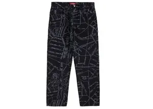 Supreme Gonz Map Denim Painter Pant
