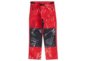 Supreme The North Face Printed Mountain Pant - Red