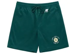 Aimé Leon Dore Aime Leon Dore X New Balance Gym Shorts - Green