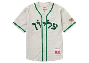 Supreme Mitchell & Ness Wool Baseball Jersey - Grey