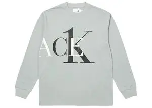 PALACE Ck1 Longsleeve Shirt - Quarry