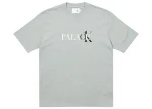 PALACE Ck1 T-shirt Quarry