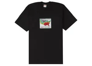Supreme Weather Tee Shirt - Black