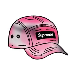 Supreme Washed Satin Camo Camp Cap - Pink Camo