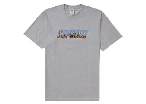 Supreme Gotham Tee Shirt - Ash Grey
