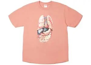 Supreme Guts Tee Shirt Terra Cotta