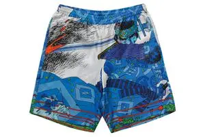 Supreme Ronin Silk Short - Blue