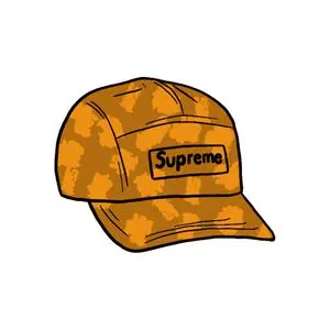 Supreme Satin Digi Camo Camp Cap - Orange