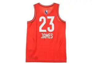 Nike Nba Lebron James All-star Edition Jersey