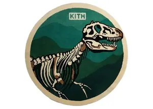 Kith Amnh Dinosaur Rug - Multi
