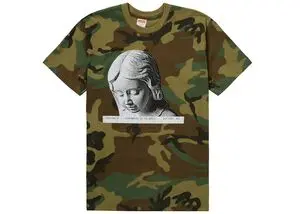 Supreme Everywhere Tee Shirt - Woodland Camo