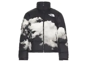 The North Face 1996 Retro Nuptse 700 Fill Anniversary Jacket - Multicolor