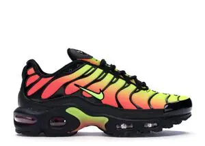 Nike Air Max Plus Sneakers