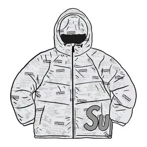 Supreme Hooded Down Jacket - Receipts