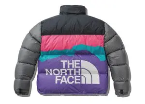 The North Face X Invincible 1996 Retro Nuptse Jacket - Multicolor