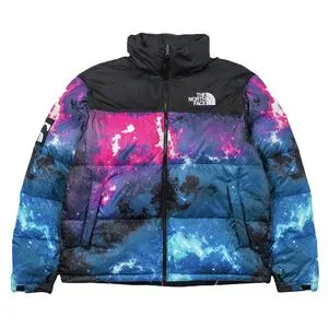 The North Face Snow Wear Jackets For Men