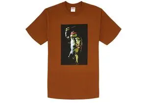 Supreme Raphael Tee Shirt - Brown