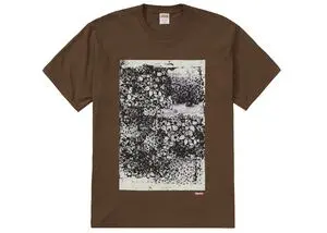 Supreme Christopher Wool 1995 Tee Shirt - Brown
