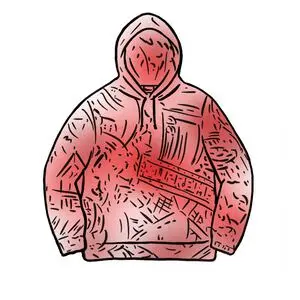 Supreme Bling Hooded Sweatshirt