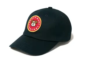 HUMAN MADE Animal Graphic Twill Cap - Dog