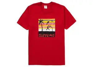 Supreme Dunk Tee Shirt - Red