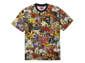 Supreme Dream Short Sleeve Top - Multicolor