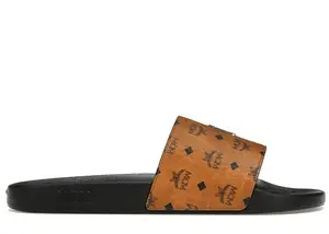 Mcm Visetos Slide