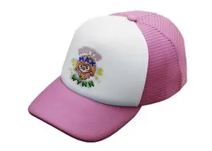 DRAKE Anita Max Wynn Cap - Pink