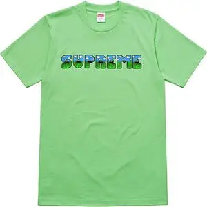 Supreme The Shit Tee Shirt Mint