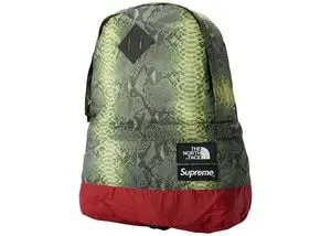 Supreme Supreme The North Face Snakeskin Lightweight Day Pack - Green