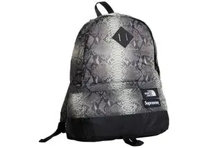 Supreme Supreme The North Face Snakeskin Lightweight Day Pack - Black