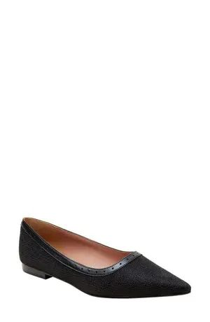 Linea Paolo Trimmed Shoes For Women
