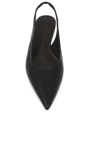 TONY BIANCO Javier Flat