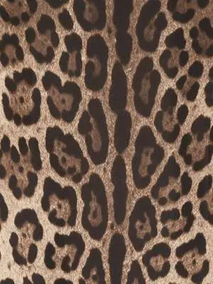Dolce & Gabbana Leopard-print Silk Scarf - Black