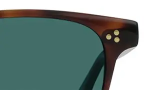 Raen Alvez 50mm Polarized Sunglasses - Kola Tort/ Pacifica