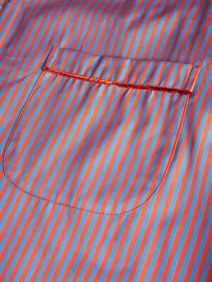Etro Striped Cotton Shirt