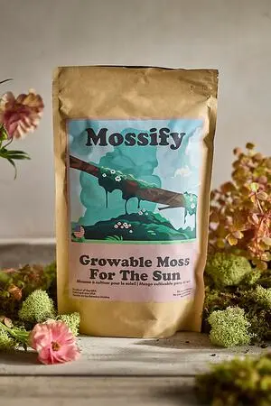 MOSSIFY Growable Moss, Sun - Multi