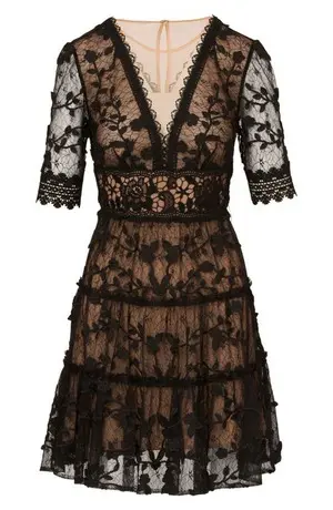 Adrianna Papell Embroidered Lace Minidress