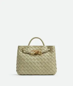 BOTTEGA  VENETA Small Andiamo