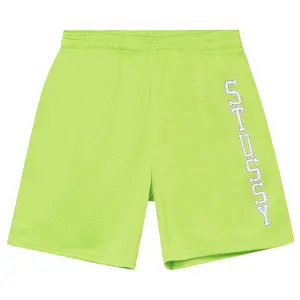 StÜssy Collegiate Mesh Short - Green