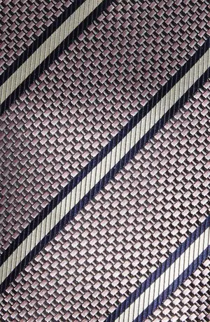 Zegna Paglie Bold Stripe Silk Tie