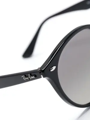 Ray-ban Pantos Frame Sunglasses