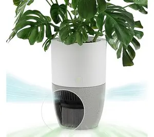 DUPRAY Bloom Air Purifier
