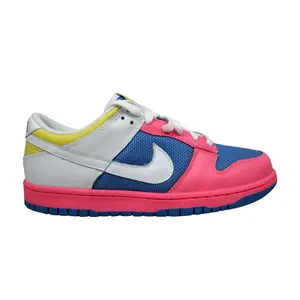 Nike Low Top Sneakers