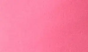 GREY LAB Sweetheart Corset Camisole